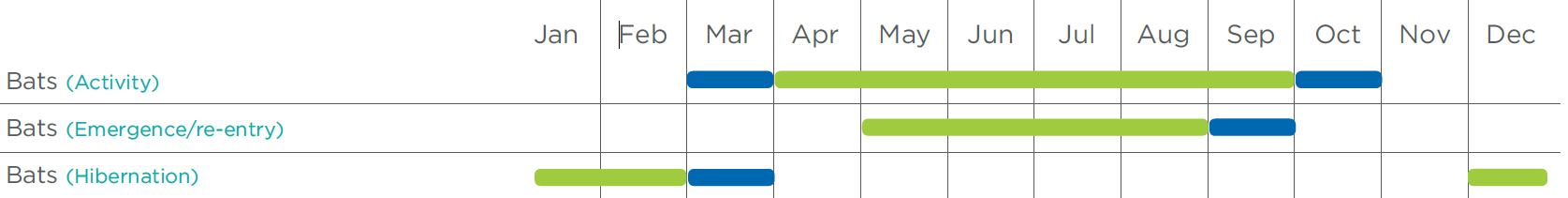 Bat Surveys | ADAS Ecology