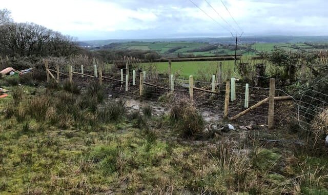 Brechfa Habitat Management Works, Carmarthenshire | ADAS