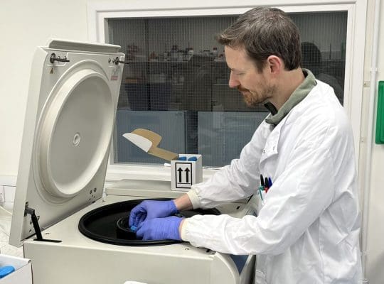 Bat Genotyping - DNA Analysis of Droppings | ADAS Ecology