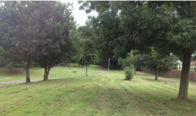 Habitat survey of a country park, Aldershot | ADAS