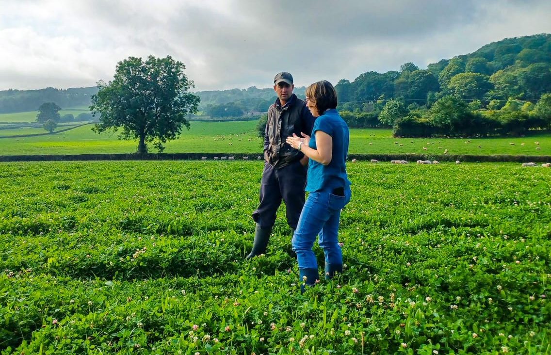 Agricultural Services | ADAS